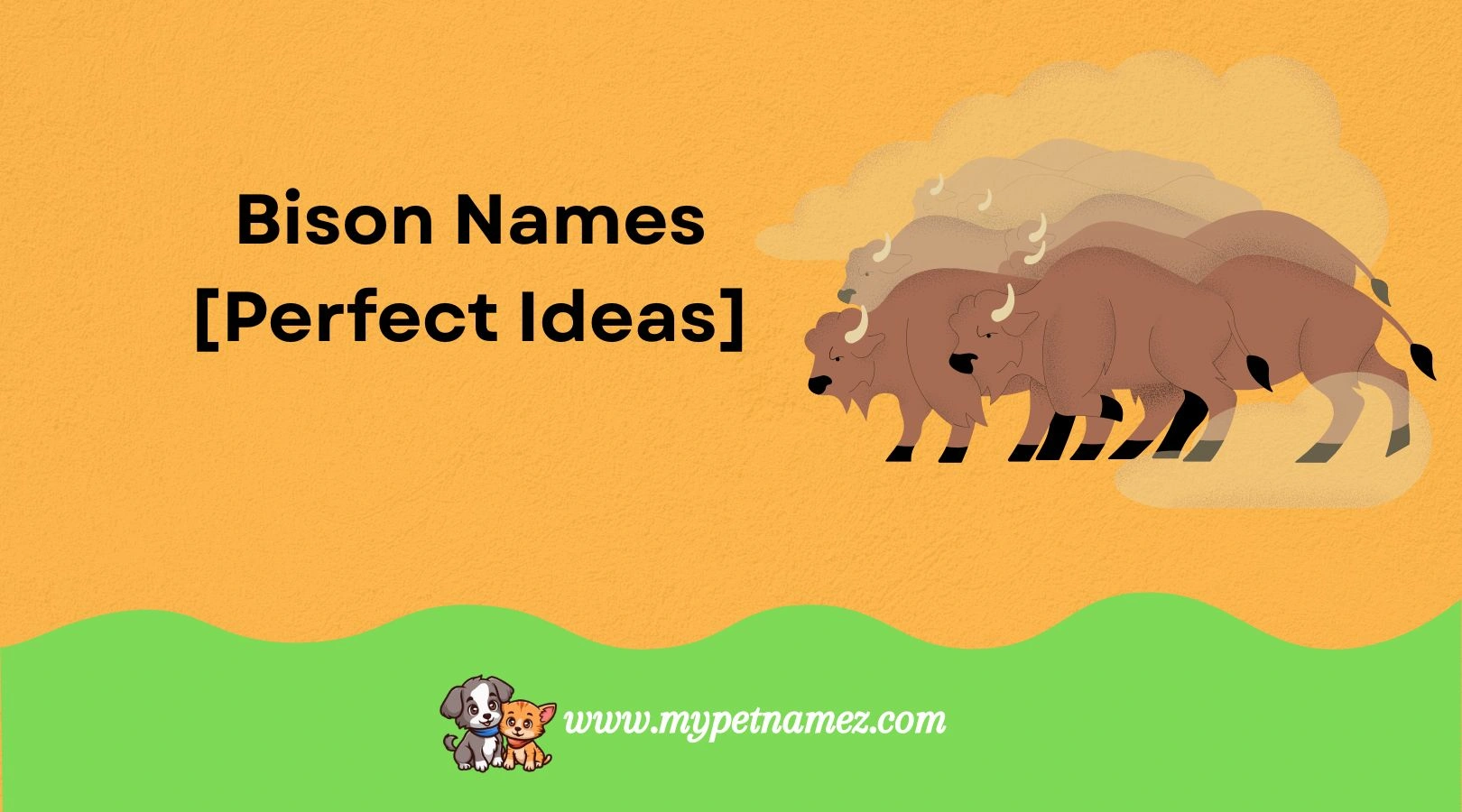 Bison Names [Perfect Ideas]