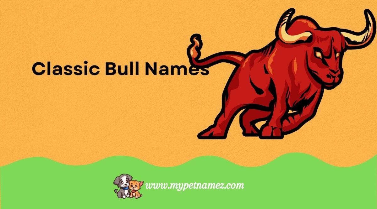 Bull Names