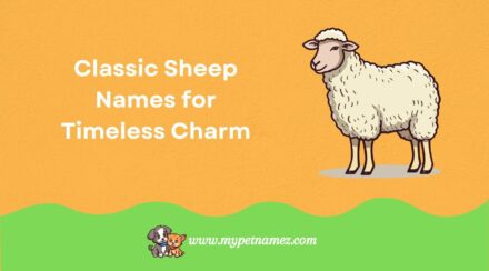 Sheep Names: Cute, Funny, and Unique Ideas for Your Flock