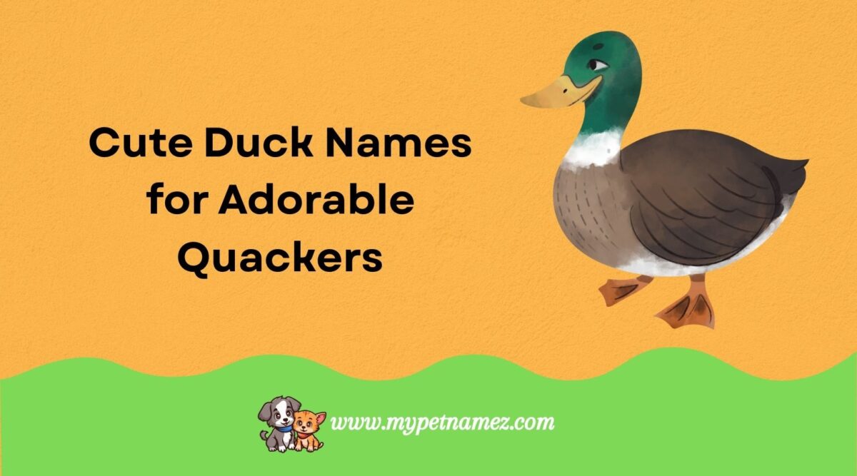 Duck Names