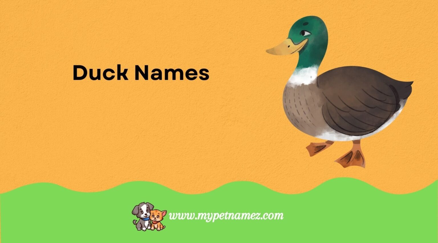 Duck Names