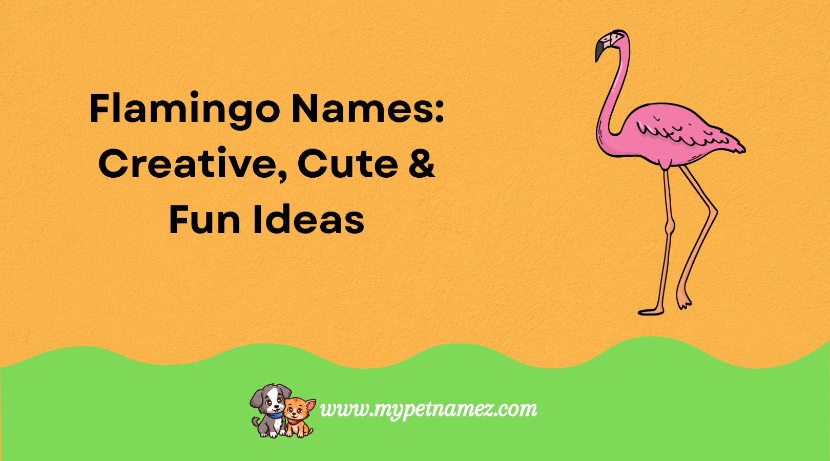 Flamingo Names: Creative, Cute & Fun Ideas