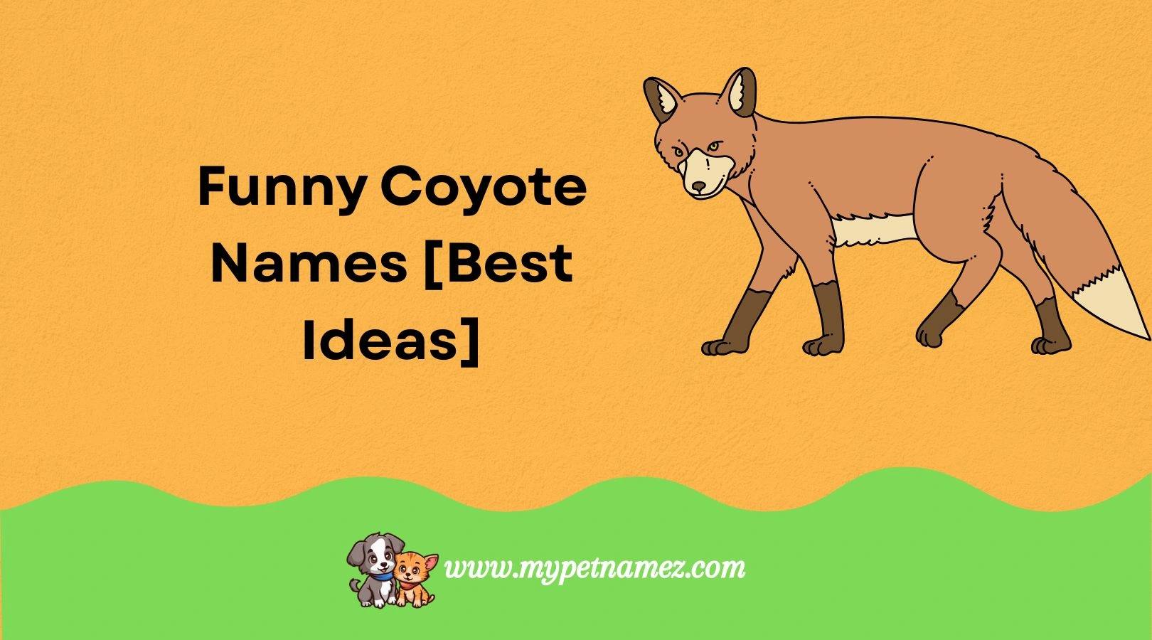 Funny Coyote Names [Best Ideas]