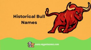 Bull Names