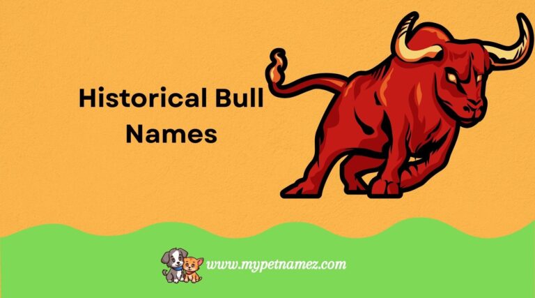 Bull Names