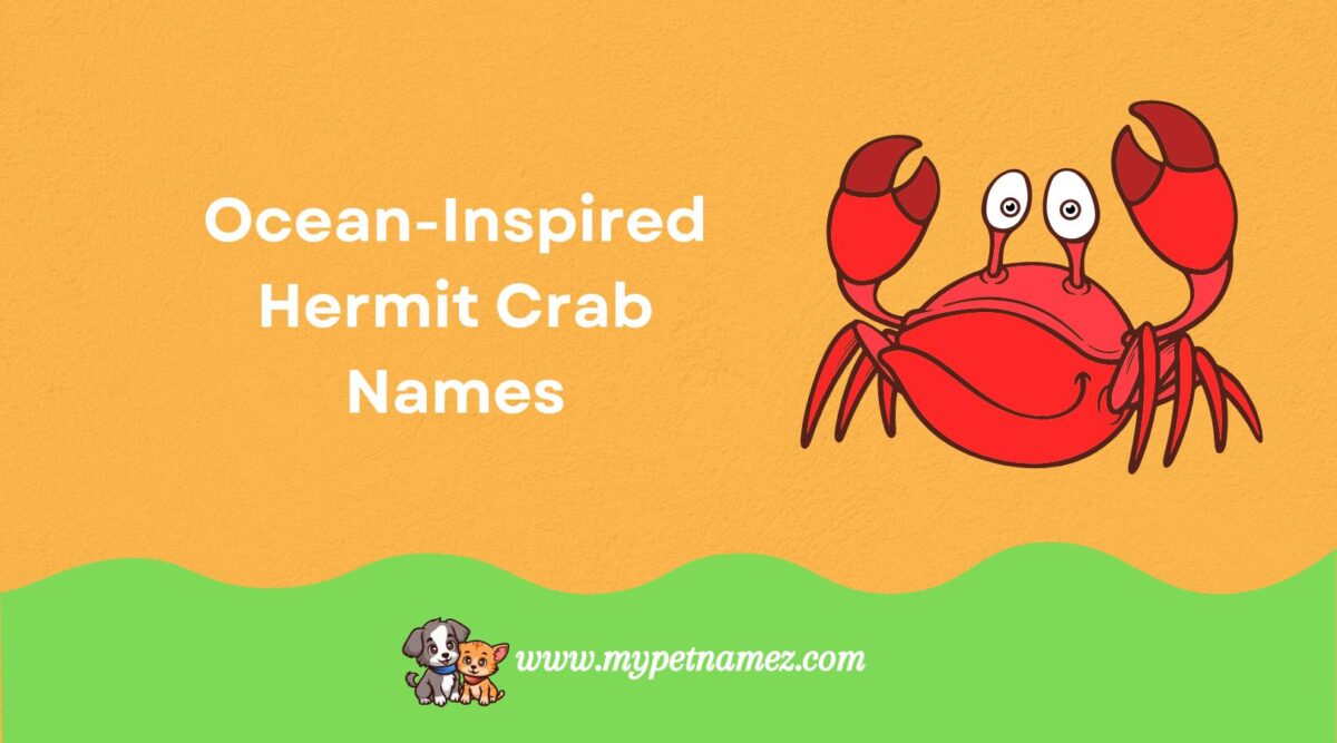 Hermit Crab Names
