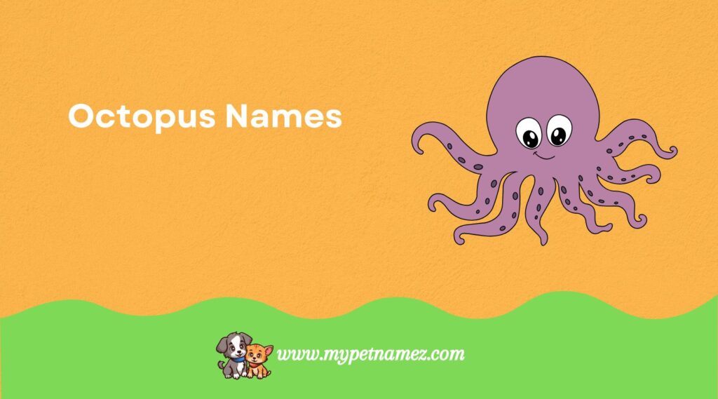 Octopus Names