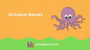 Octopus Names