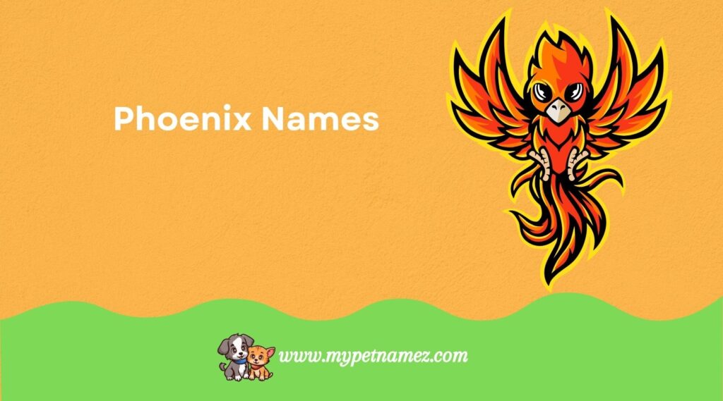 Phoenix Names