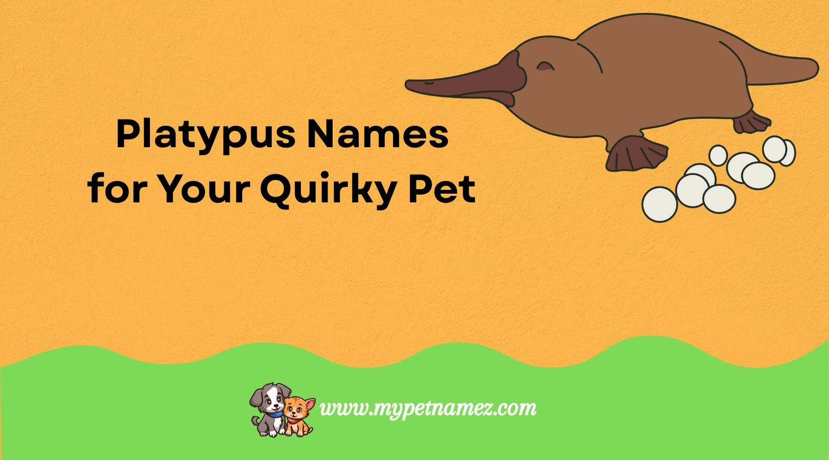 Platypus Names for Your Quirky Pet