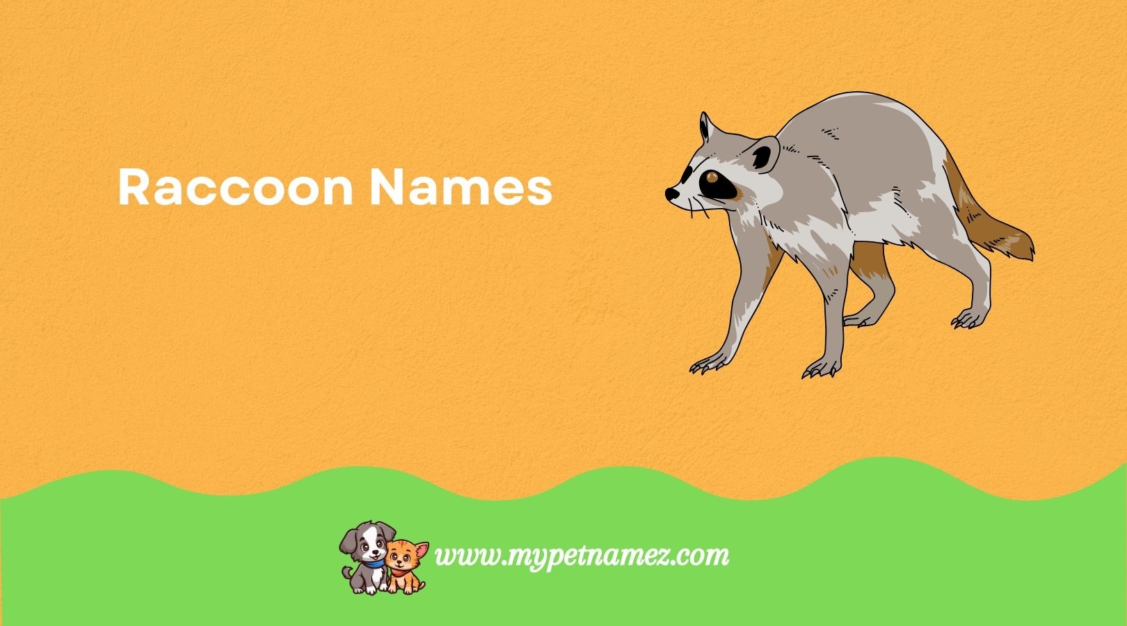 Raccoon Names
