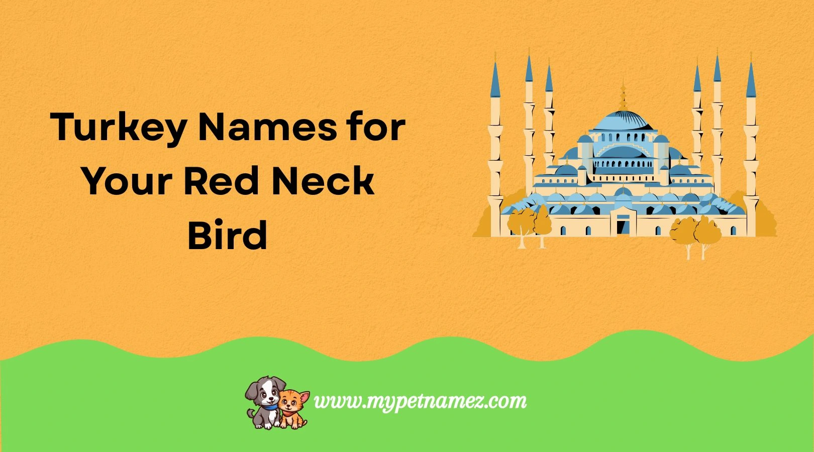 Turkey Names for Your Red Neck Bird