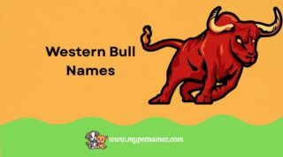 Bull Names