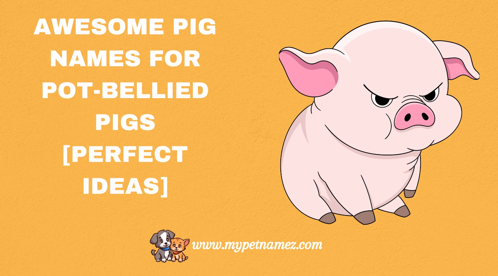 Pig Names for Pot-Bellied Pigs [Perfect Ideas]