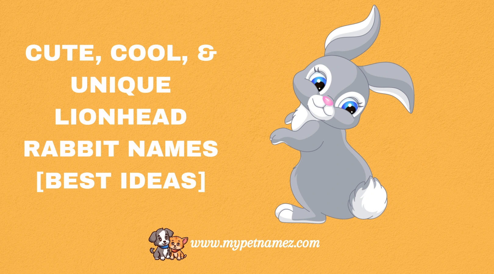 Rabbit Names [Best Ideas]
