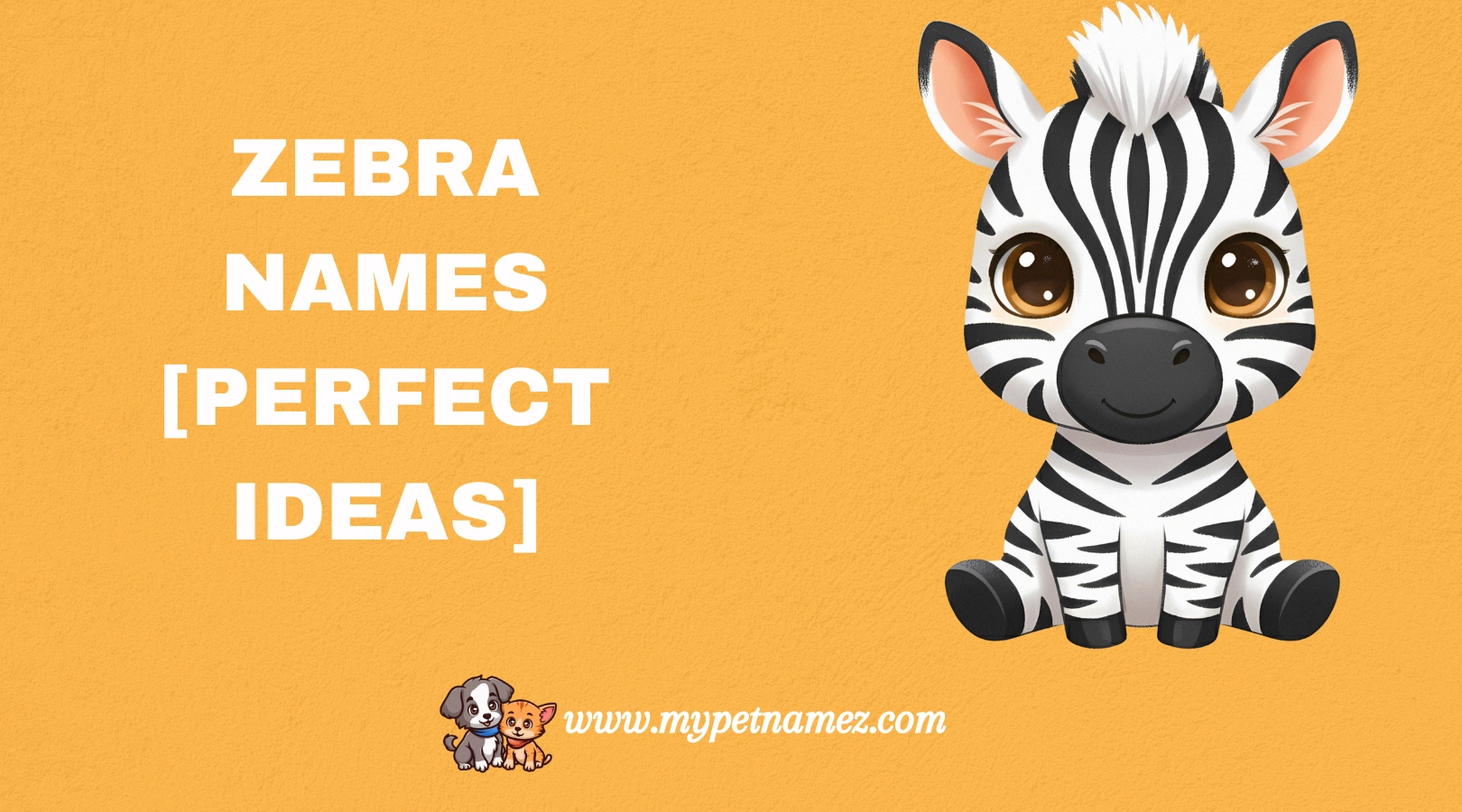 Zebra Names [Perfect Ideas]