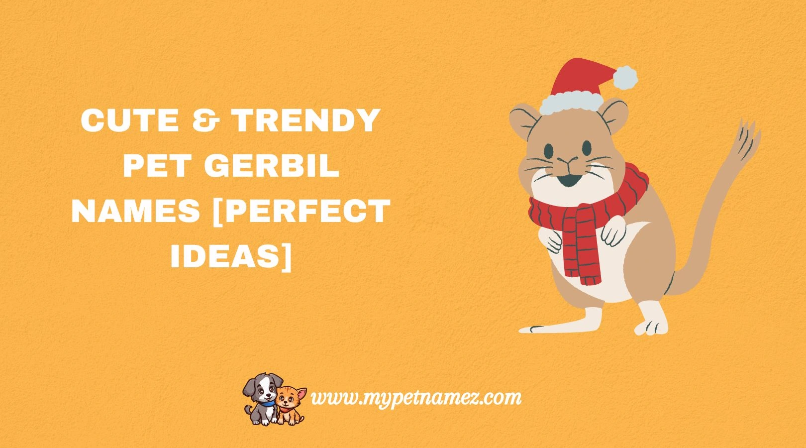 Gerbil Names [Perfect Ideas]