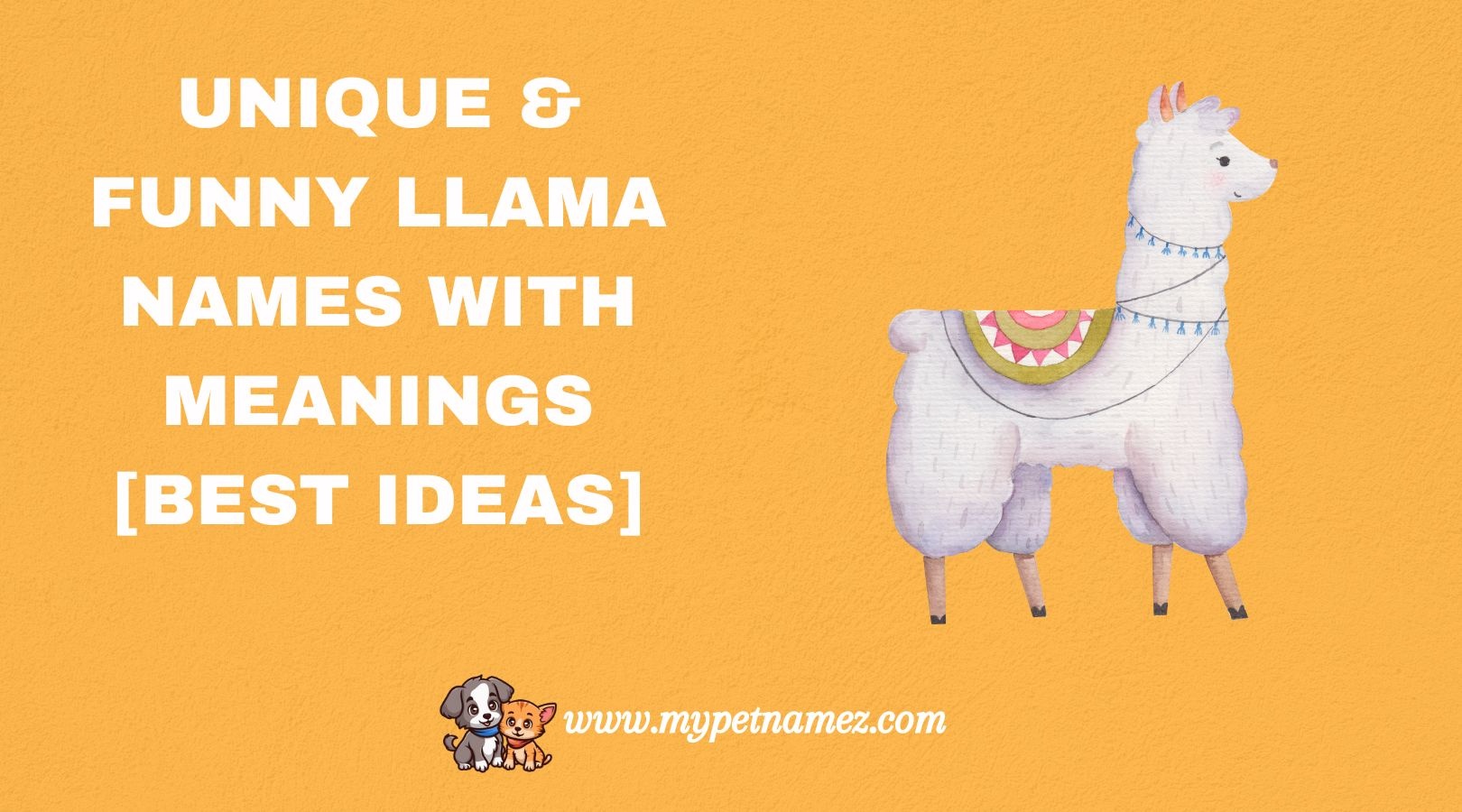 Llama Names with Meanings [Best Ideas]